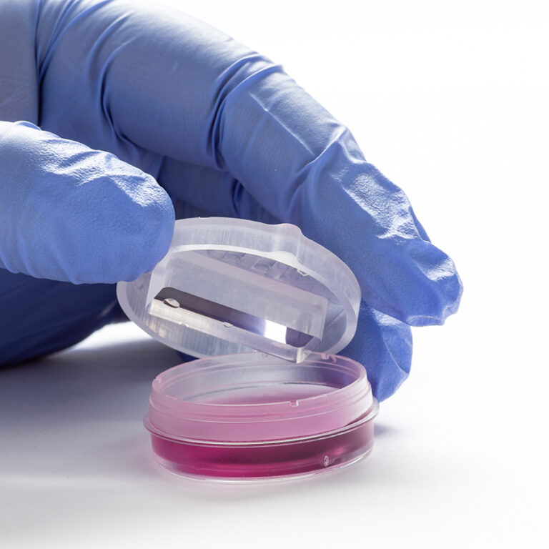 Wound Healing Assay - HoloMonitor® Live Cell Assay - PHI