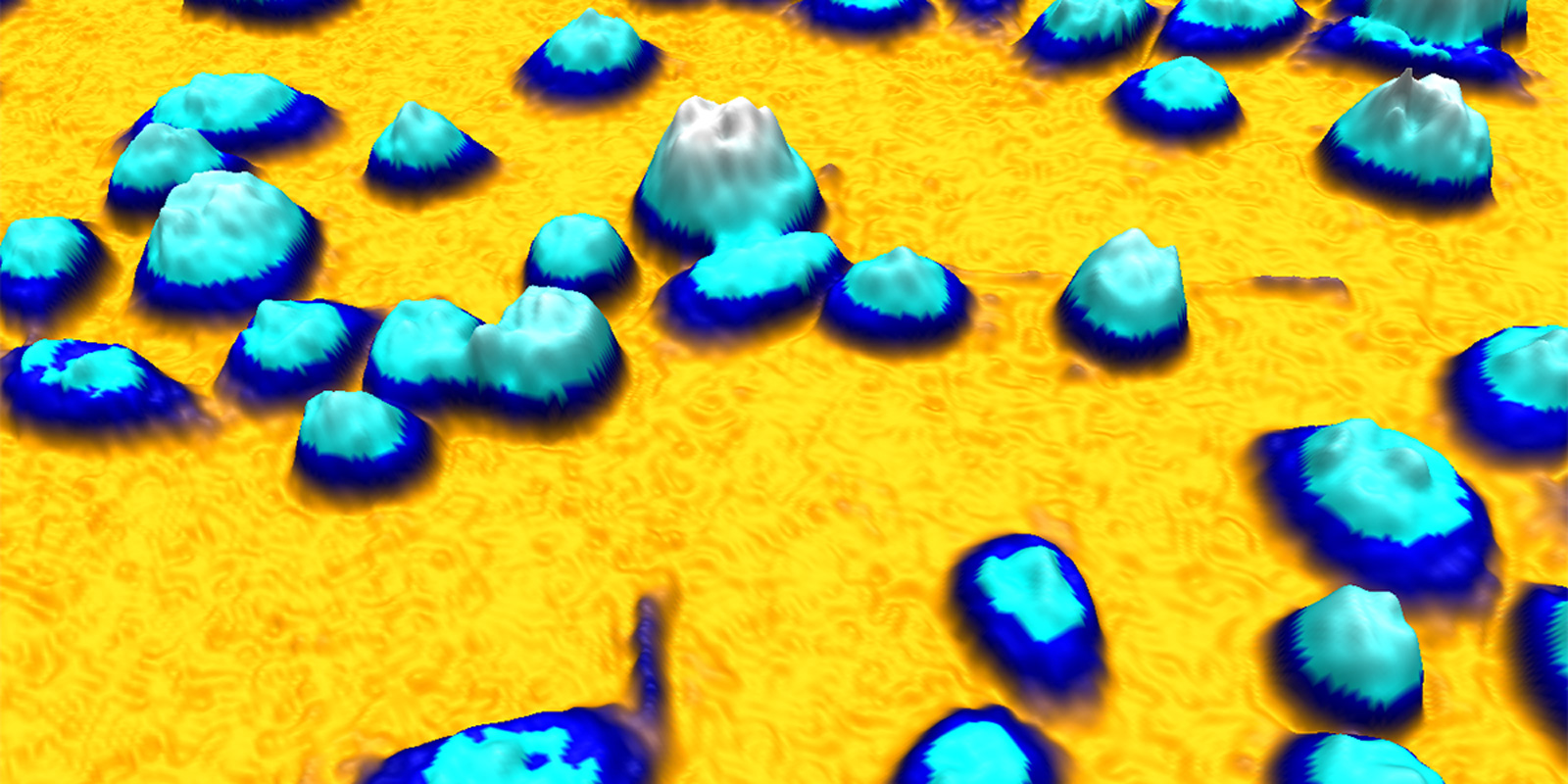 Quantitative Phase Imaging | PHI Quantitative Phase Imaging | PHI