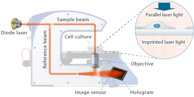 Holographic Microscopy - PHI