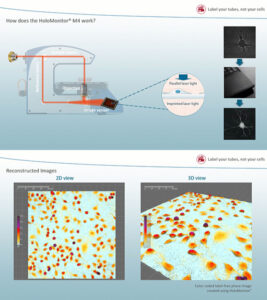 Cell Motility and Migration | PHI