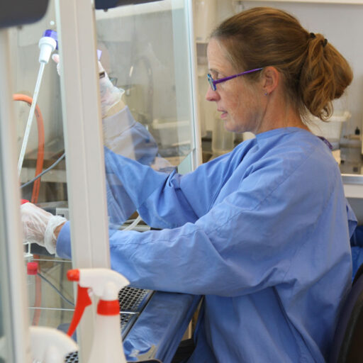 Kinetic Cell Motility Assay - HoloMonitor® Live Cell Assay - PHI