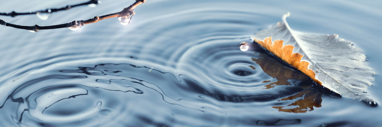 Label-Free Imaging Cytometry - PHI