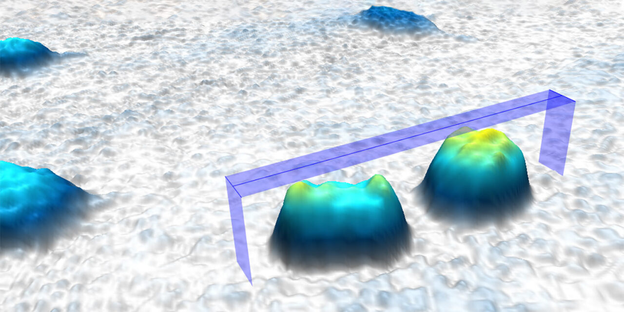 Holographic Live Cell Videos and Images - HoloMonitor
