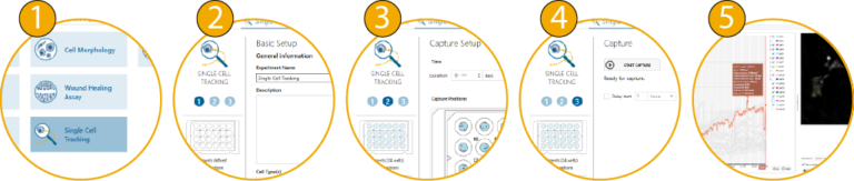 Single Cell Tracking | HoloMonitor Imaging Assays