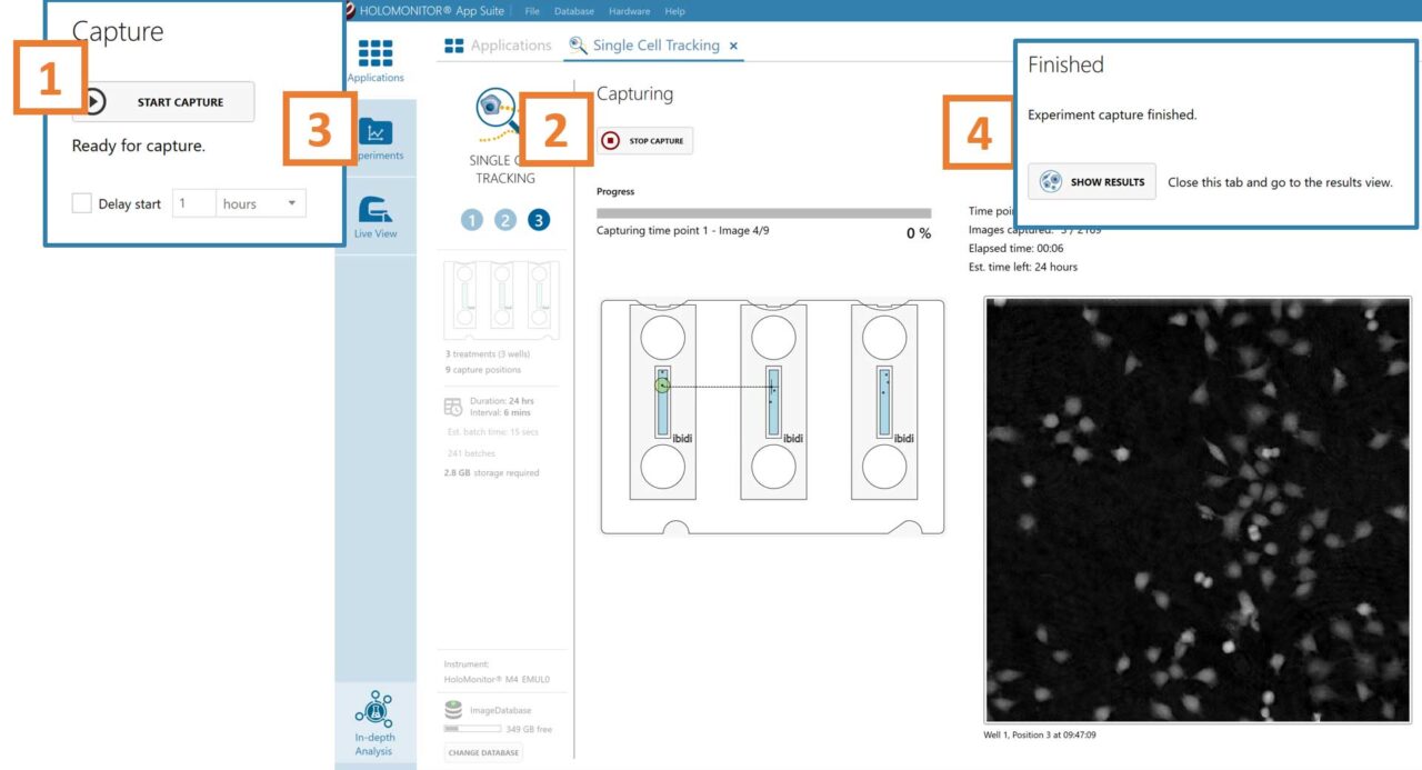 HoloMonitor® Single Cell Tracking Assay Protocol - Phase Holographic ...
