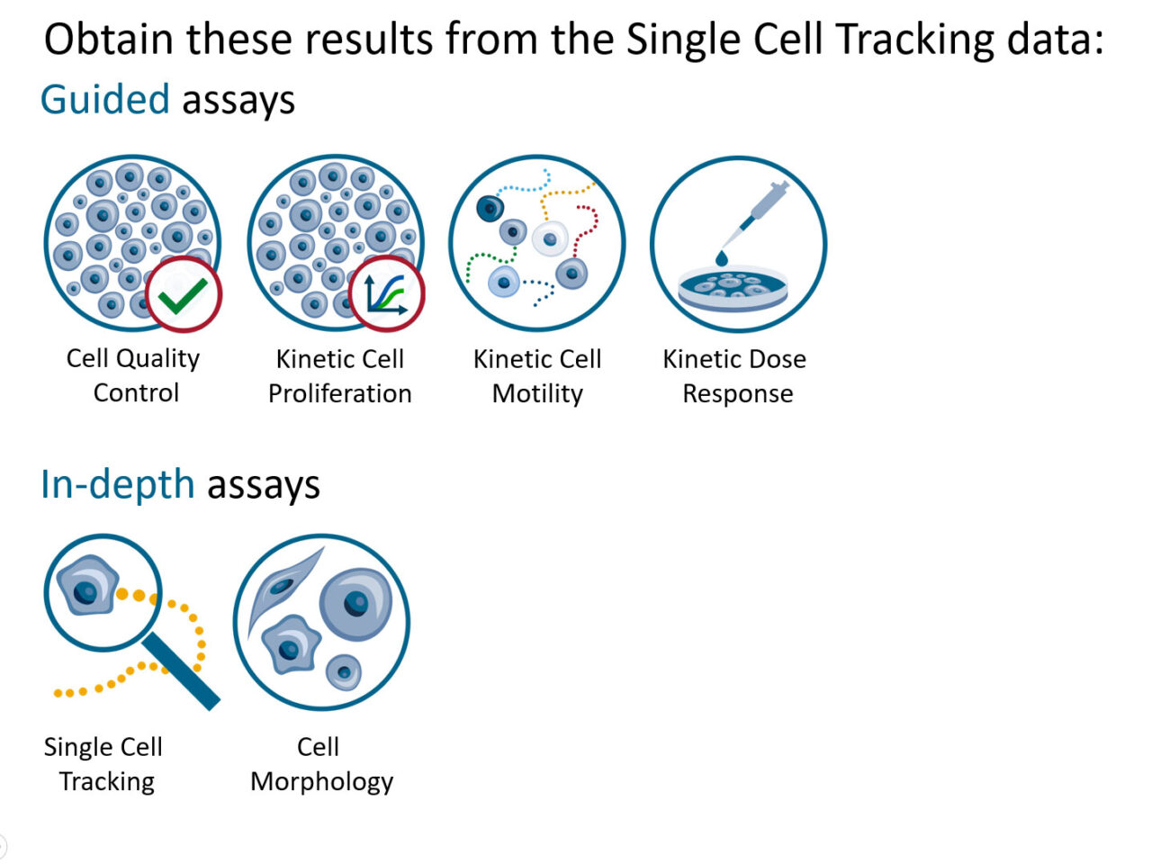 HoloMonitor® Single Cell Tracking Assay Protocol - Phase Holographic ...