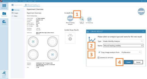HoloMonitor® Wound Healing Assay Protocol - Phase Holographic Imaging