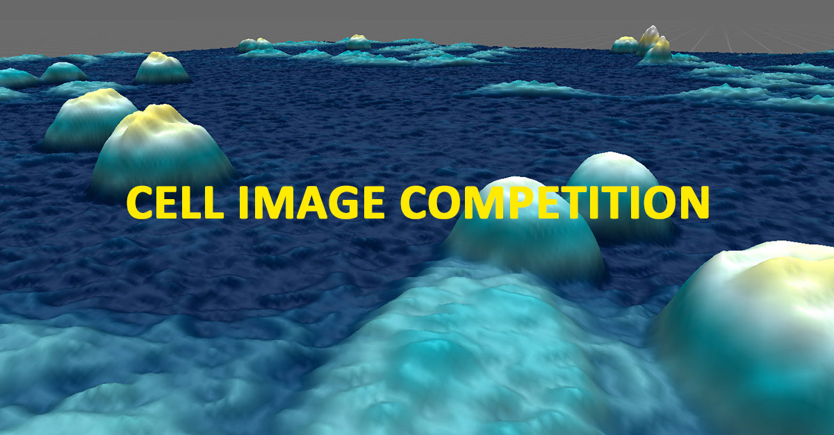 Cell Image competition "Where Art Meets Science" - PHI Blog