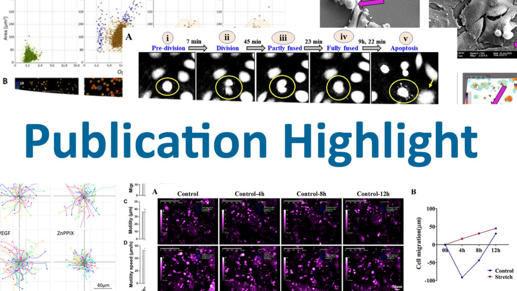 Phase Holographic Imaging - Live Cell Imaging Made Easy